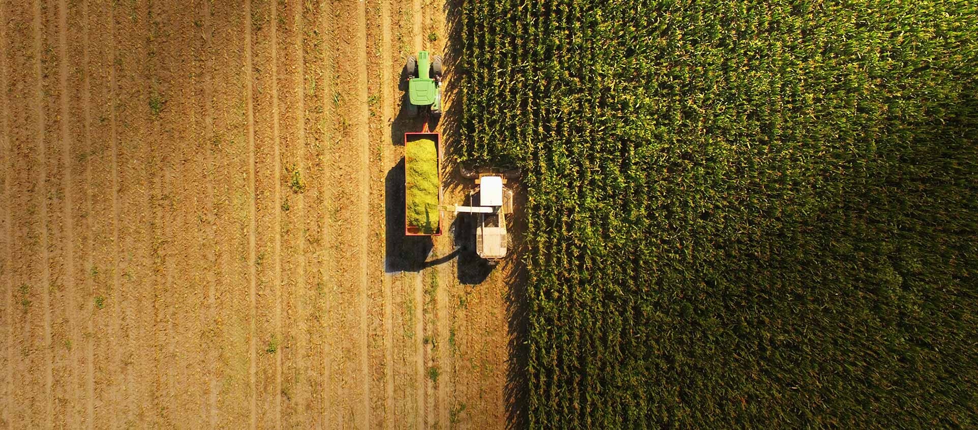 Agricultural Industry Automation Solutions - Modula