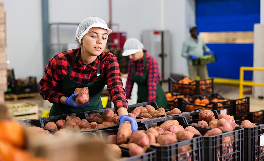 Food Warehousing [Requirements, Challenges & Solutions]